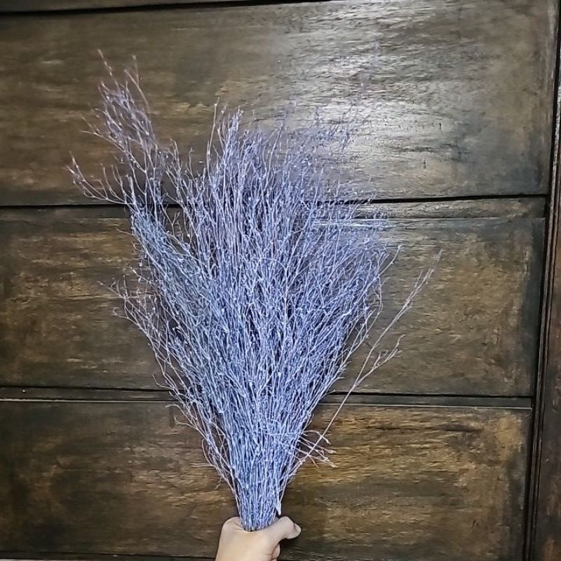 Sky Blue Dried Twigs for home decor | Shopee Philippines