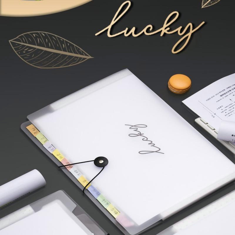 Classified Storage Folder with Button 12 Layers Expending File Folder ...