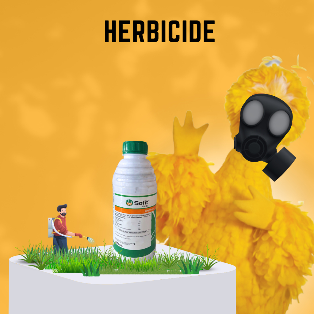 SOFIT 300 EC SYNGENTA | PRETILACHLOR | 1 LITER | Shopee Philippines