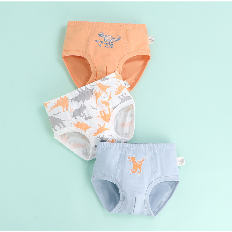 Little Noori Orange Dinosaur Boys Brief Underwear Innerwear (3 piece ...