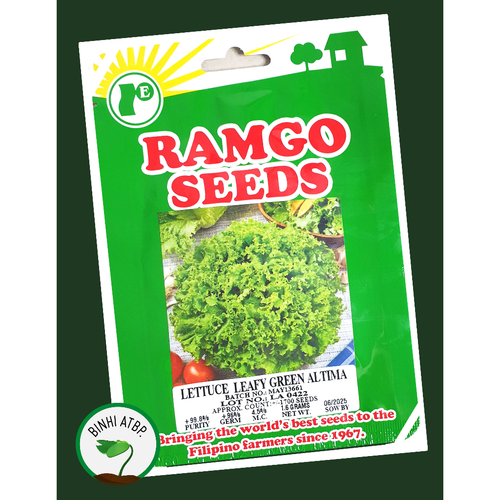 Ramgo Lettuce Leafy Green Altima Seeds | Shopee Philippines
