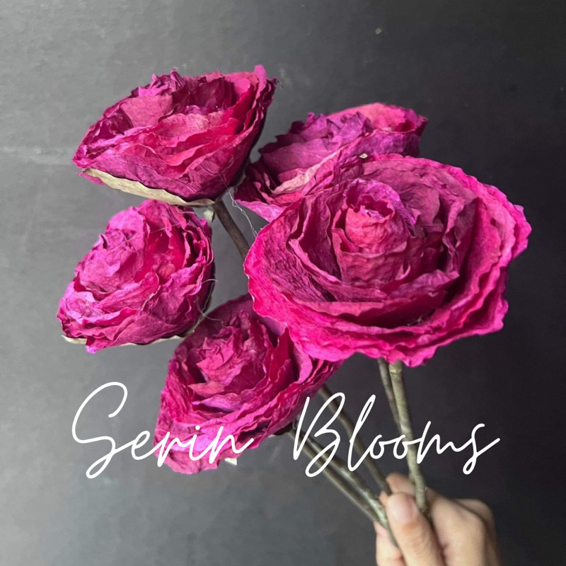 Fossilized Rose(1 stem only) | Shopee Philippines