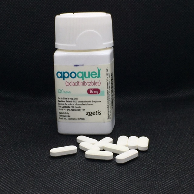 APOQUEL for dogs 16mg tablet (SOLD per pc) - Close out sale | Shopee ...