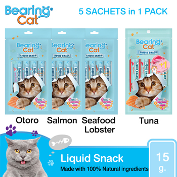 Bearing Cat Liquid Snack 4 + 1 (15g/stick) | Shopee Philippines
