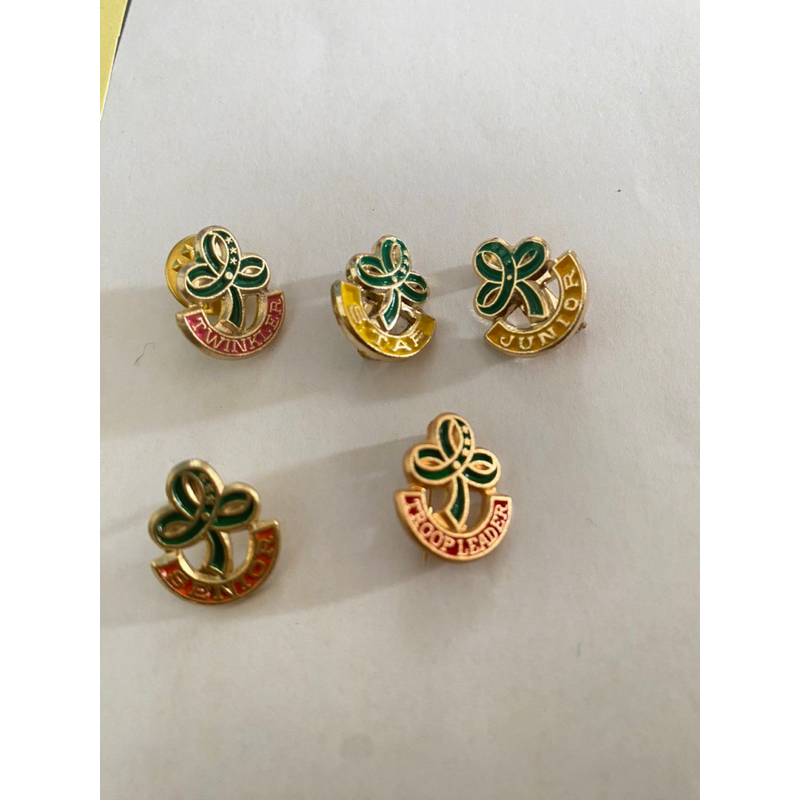 Girlscout Pin / World Pin and Pin Holder - Twinkler Star Junior Senior ...