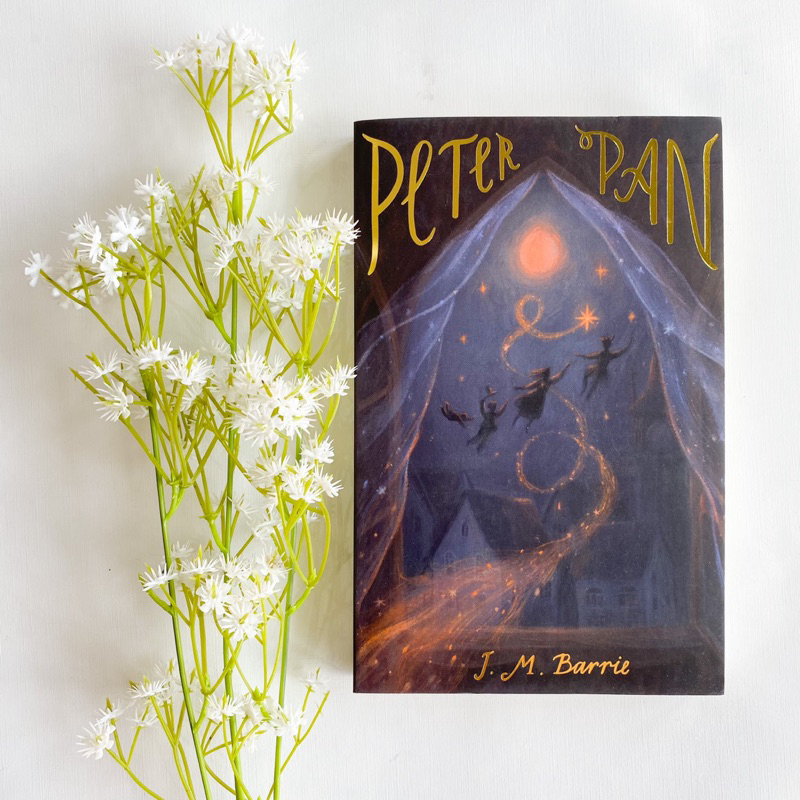 Peter Pan Wordsworth Classics (ORIGINAL UK COPY) by J.M. Barrie ...