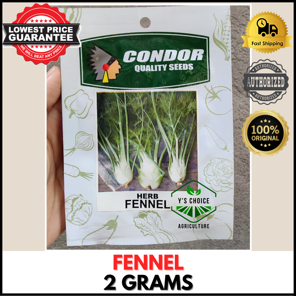 CONDOR SEEDS - HERB SEEDS - FENNEL 2 Grams | Shopee Philippines