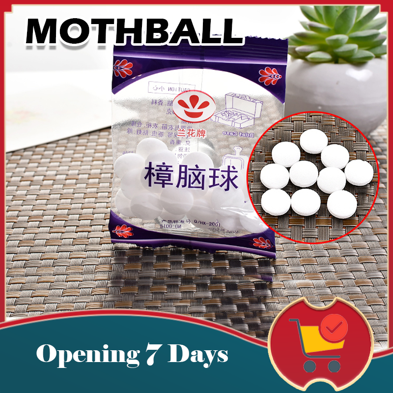 Wardrobe Odor Removal Insect-resistant Moth-proofing Natural Camphor ...