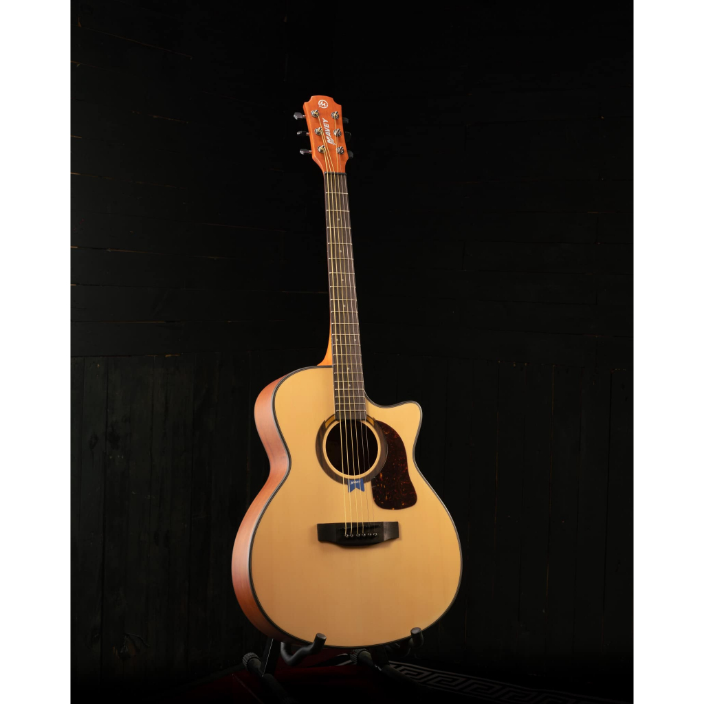Mavey 40’ Acoustic Guitar with Trussrod (MD100C) | Shopee Philippines