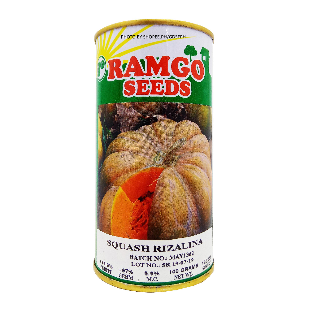 Ramgo Seeds Tin Can Squash Rizalina 100g GDSFPH_S4 | Shopee Philippines