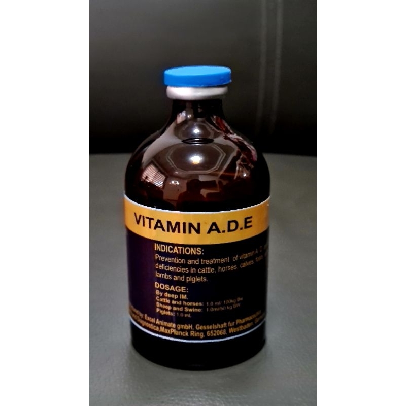 Animed Vitamin ADE 100ml | Shopee Philippines