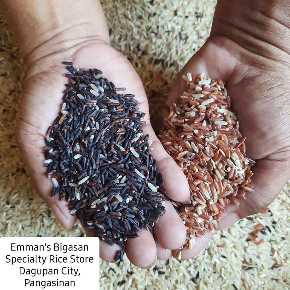 25 KILOS Multigrain Rice, Black Rice, Red Rice, Brown Rice, Purple Rice ...