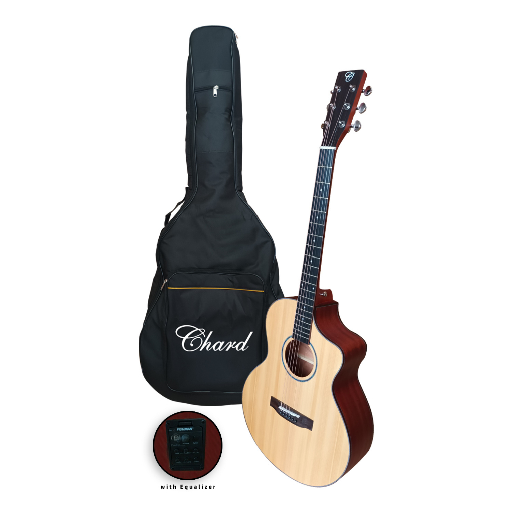 Chard WD41-JF Acoustic Guitar with Bag (6-string full scale guitar ...