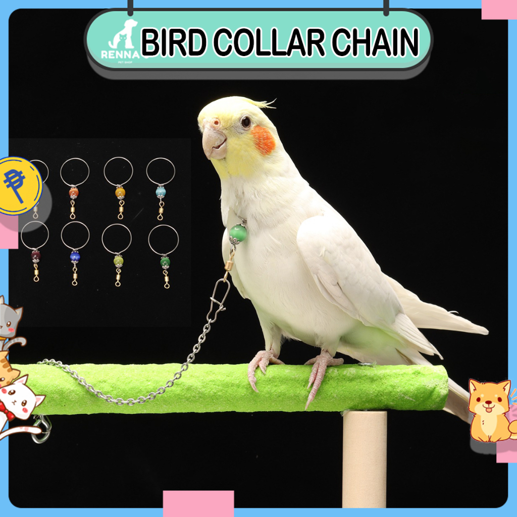 Renna's Bird Collar Chain For Bird Parrot Neck Ring Anklet Foot Chain ...