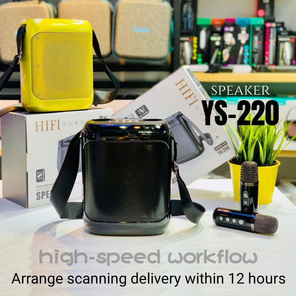 YS-220 dual Wireless Microphone Bluetooth speaker Portable Stereo ...