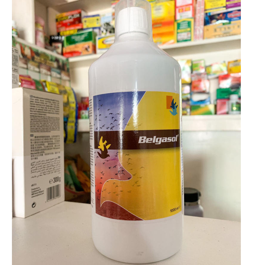 Belgasol 1 liter bottle Belgica De Weerd Supplement for Pigeons, Pigeon ...