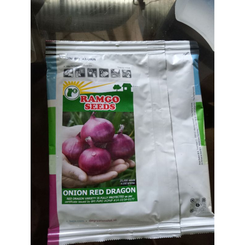 Onion Red Dragon 25,000 Netherland imported by ramgo seeds December ...