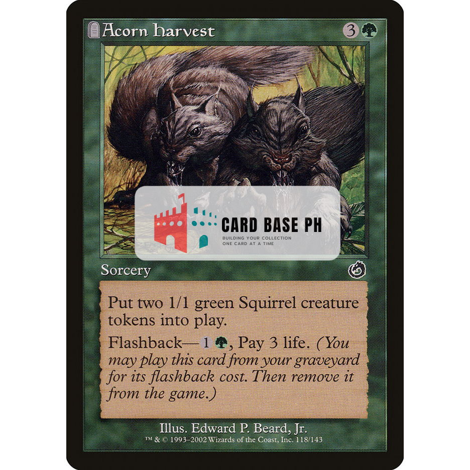 Acorn Harvest - Magic the Gathering Trading Card | Shopee Philippines