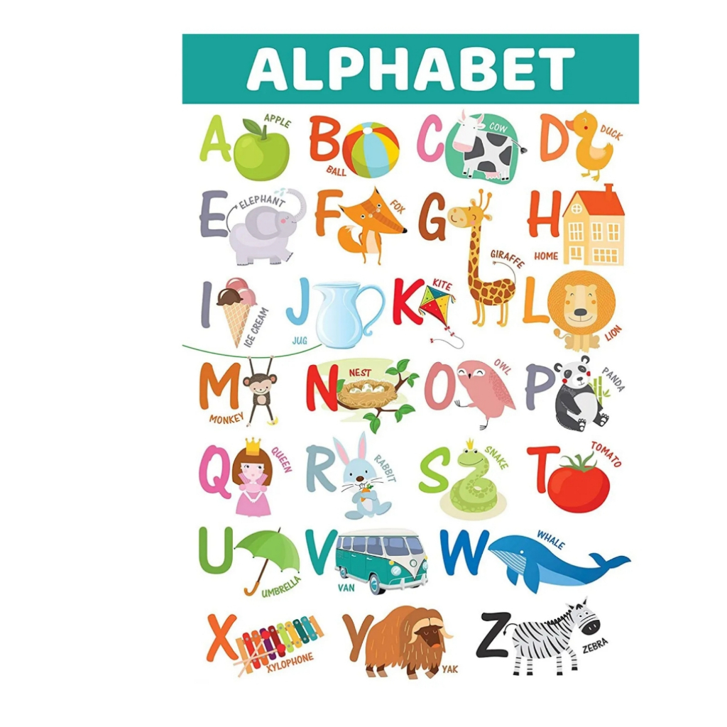 Laminated Human Body, Alphabet, Times Table, Numbers 1-20, Numbers 1 ...