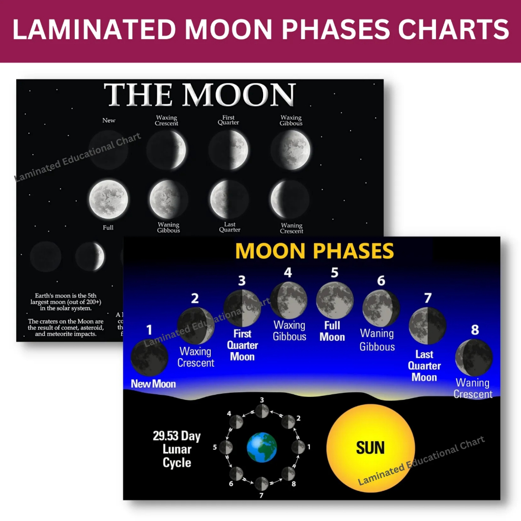 Laminated Phases of the Moon Charts, Moon Phases, Educational Chart for ...