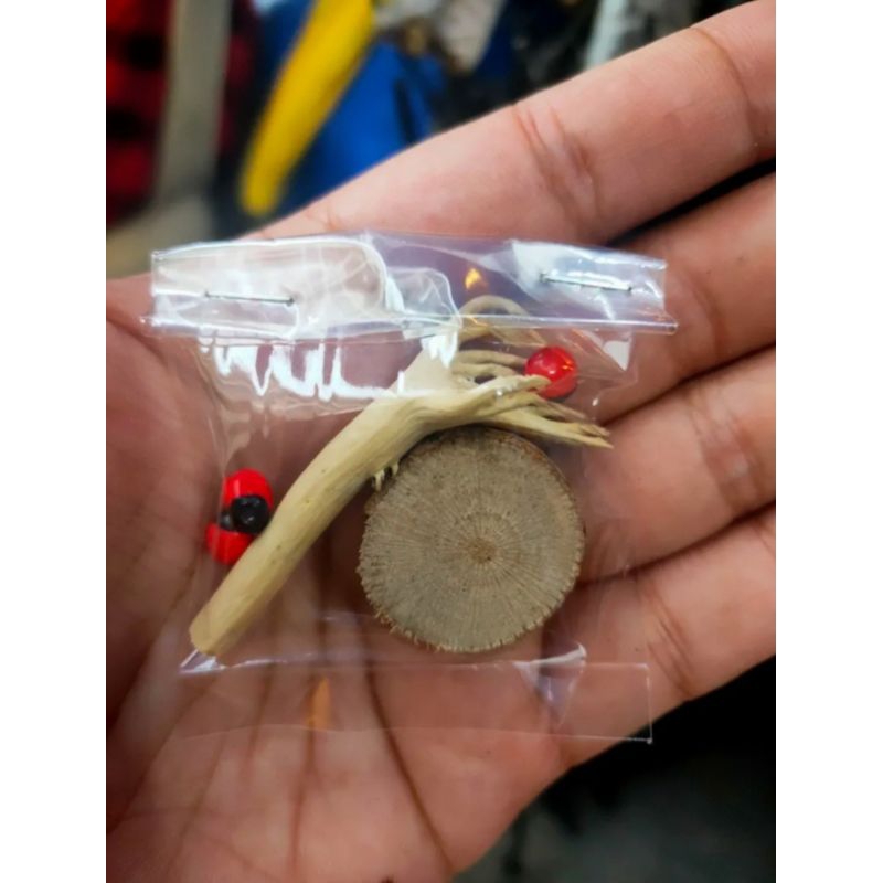 Tagupaypay+Sinag araw+Sagasaga Charms Protection | Shopee Philippines