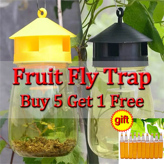 Fruit Fly Attractant Trap Wasp Trap Fruit Fly Catcher Vegetable Garden ...