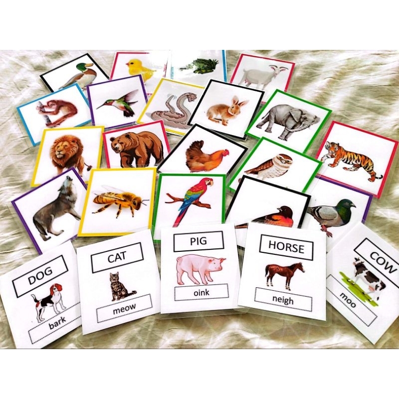 Educational Flashcards for Kids ANIMALS, VEGETABLES, TRANSPORTATION ...