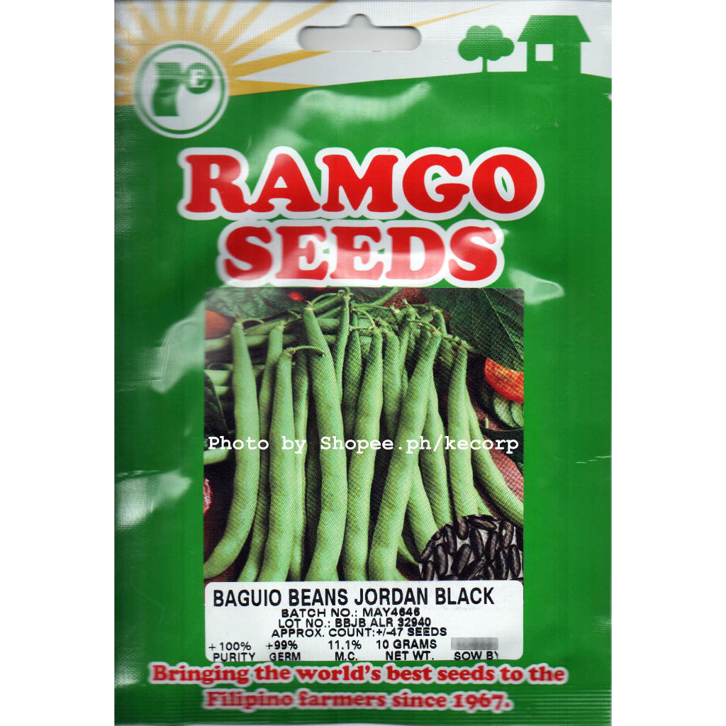 Ramgo RPD Baguio Beans Jordan Black 10g Approx 25 Seeds (Original ...