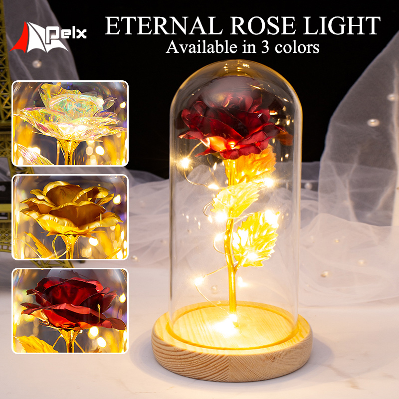 rose flower Eternal rose with led light Rose dome Glass Dome Valentine ...