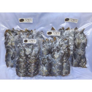 danggit - Best Prices and Online Promos - Mar 2024 | Shopee Philippines