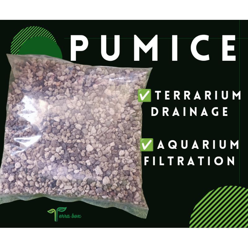 PUMICE STONE FOR TERRARIUM DRAINAGE AND AQUARIUM FILTRATION | Shopee ...