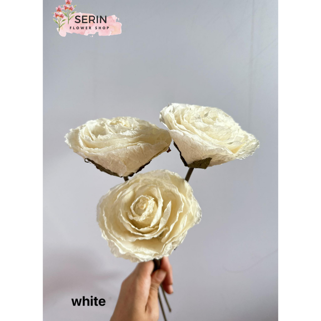 Dried FOSSILIZED ROSE per pc Flowers Roses DRIED FLOWER BAZAAR | Shopee ...