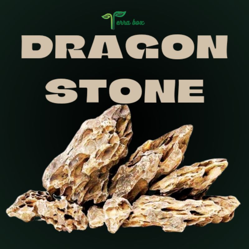 DRAGON STONE, BLACK SEIRYU STONE AND RYUOH STONE FOR AQUARIUM AND ...