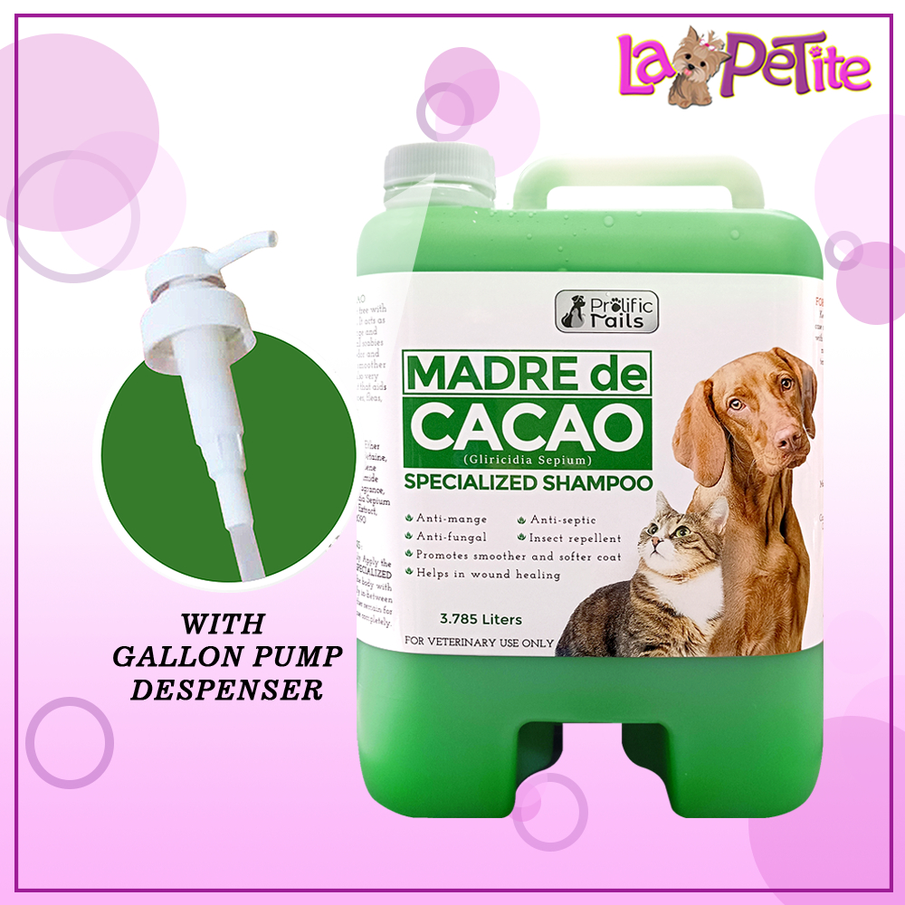 LKJ- Anti Galis Kati Kamot Madre de Cacao Specialized Shampoo 1 ...