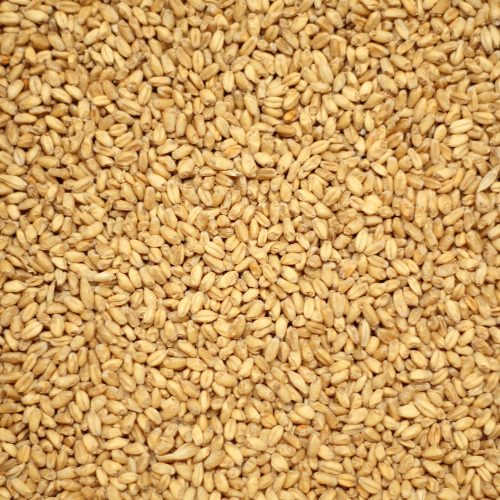 Weyermann Brewing Malt - Pale Wheat 25kg | Shopee Philippines