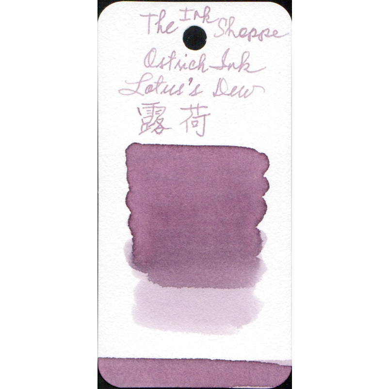 Ostrich Inks Solar Term Chromatography Fountain Pen Ink Sample (3mL ...