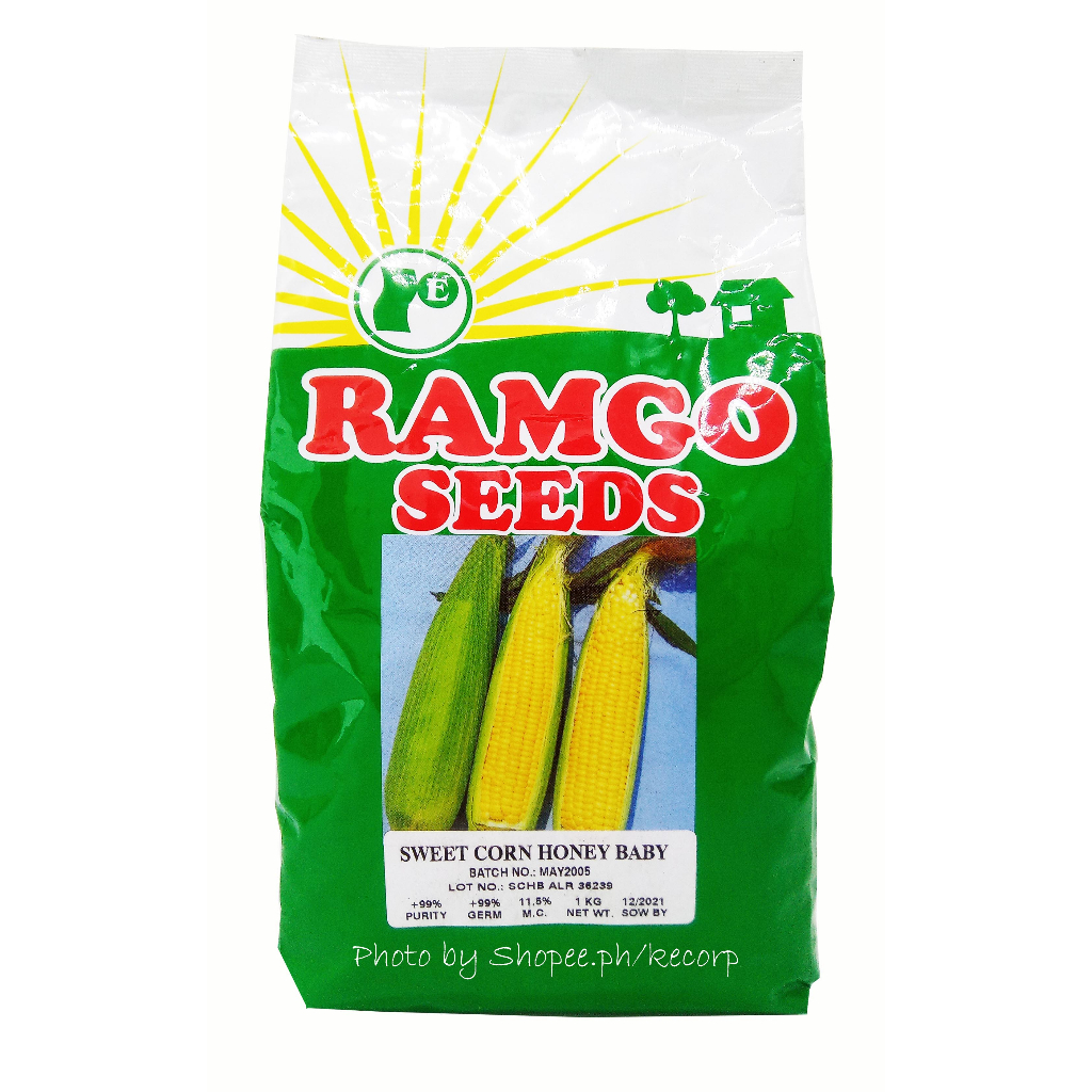 Ramgo Seeds Corn Sweet Honey Baby 1 Kilo Pack KECORP_S1 | Shopee ...