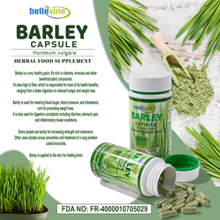 Barley Herbal Supplement 100 Capsules x 500mg Bottle (Hordeum Vulgare ...