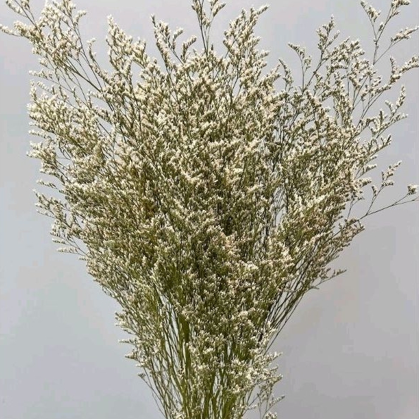 Dried Misty (Big bunch) Flower Real Decor Gift Wedding Party Home ...