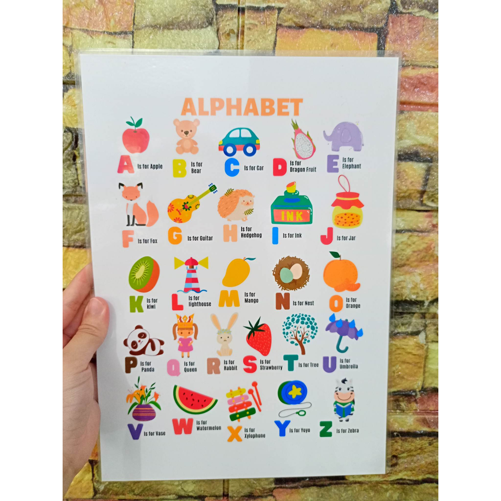 Educational Charts A4 Size Laminated | Shopee Philippines