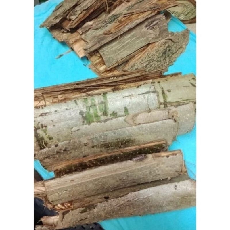 Anonang Barks (para iwas Binat) | Shopee Philippines