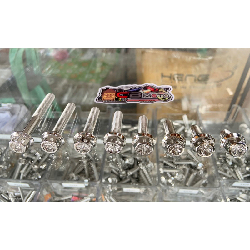 HENG White Gold Bolt 8x15mm to 8x60mm | Shopee Philippines