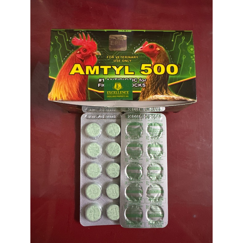 AMTYL 500 TABLETS (10tabs) | Shopee Philippines