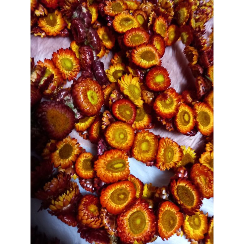 EVERLASTING FLOWER GARLAND FROM BAGUIO CITY | Shopee Philippines