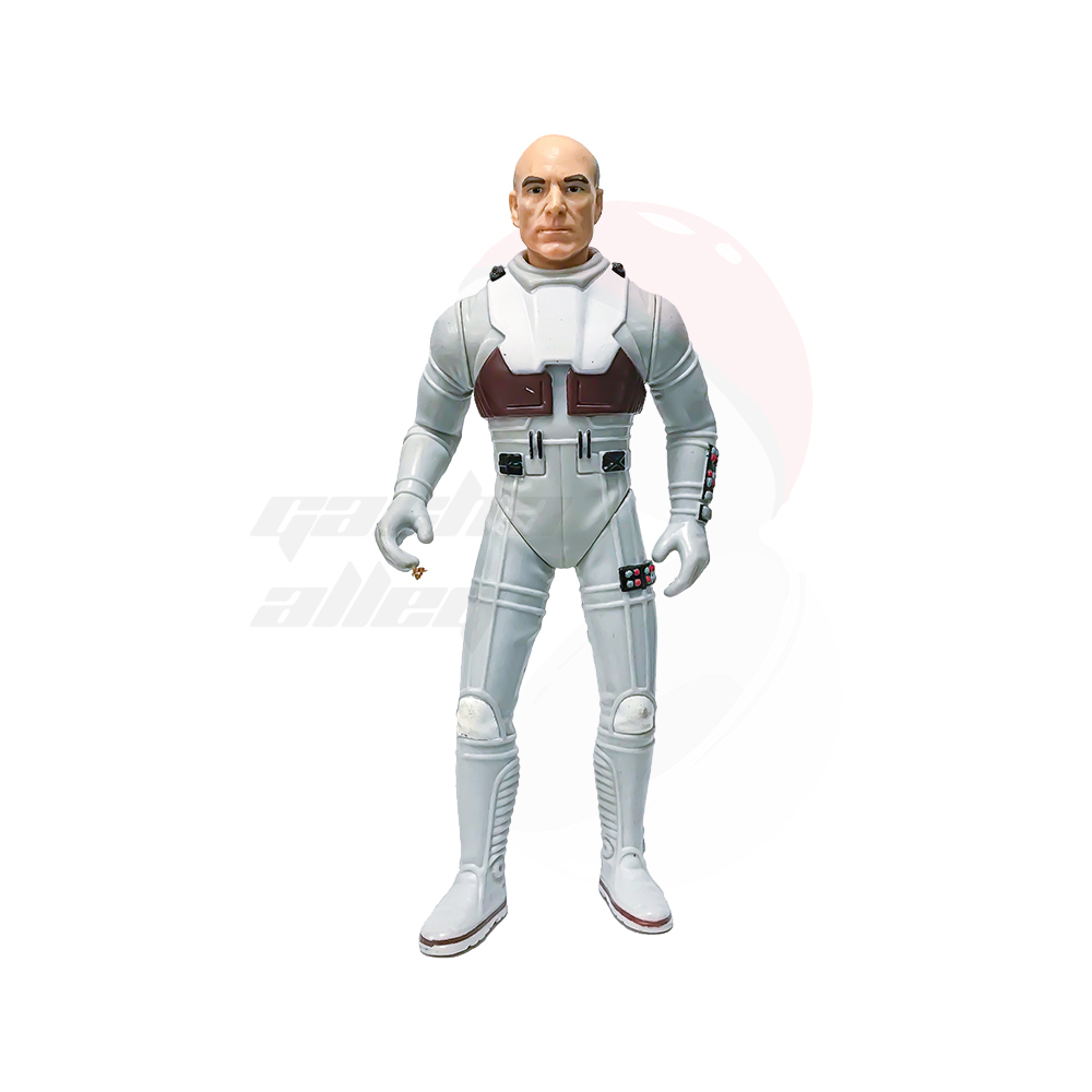 Playmates Toys Star Trek First Contact Captain Picard in Starfleet ...