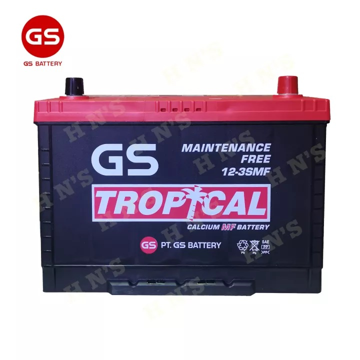 GS Tropical 65D31L 3SM Maintenance Free Car Battery 12 months warranty | Shopee Philippines