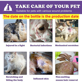 Pet Skin Treatment for dogs Galis Ng Aso Gamot Dog Skin Disease ...