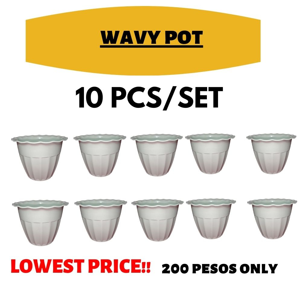 LOWEST PRICE!! 20 Pesos Paso 8x6 inches 10pcs per Set (200 PESOS ...