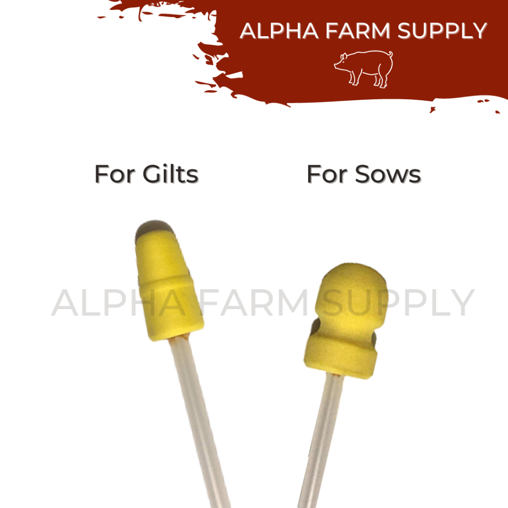 10 pcs. Foam Tip Catheter for Gilt and Sow (Artificial Insemination: AI ...
