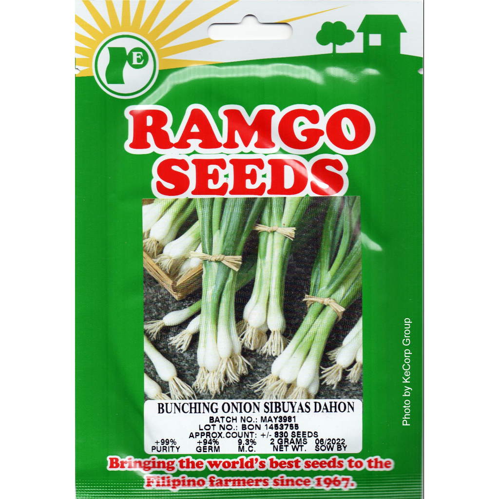 Ramgo RPD BUNCHING ONION SIBUYAS DAHON 2 g KECORP_S1 | Shopee Philippines